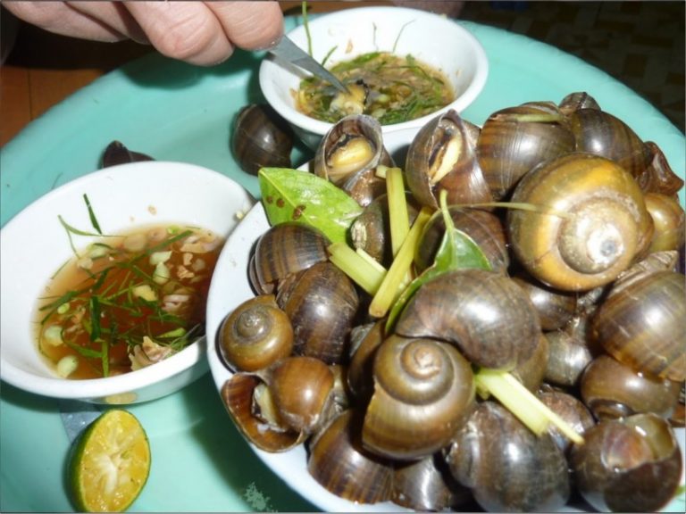 Keong Boleh Dimakan? Begini Penjelasan Syaikh Al-Munajjid